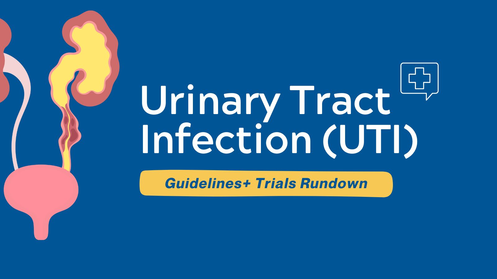 Urinary Tract Infection (UTI) in Adults - Guidelines+ Trials Rundown ...