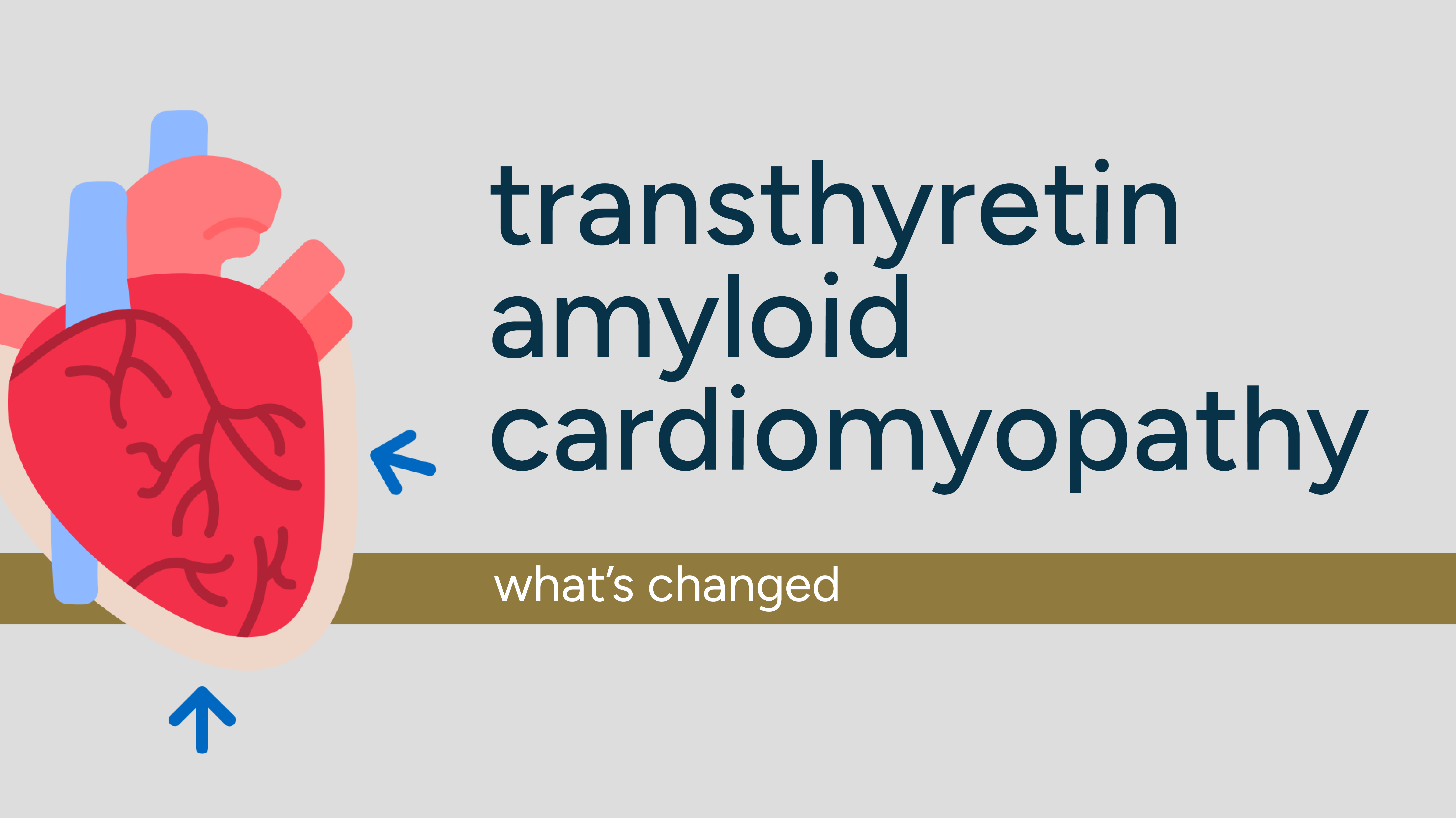 Transthyretin Amyloid Cardiomyopathy (ATTR-CM) - What's Changed ...