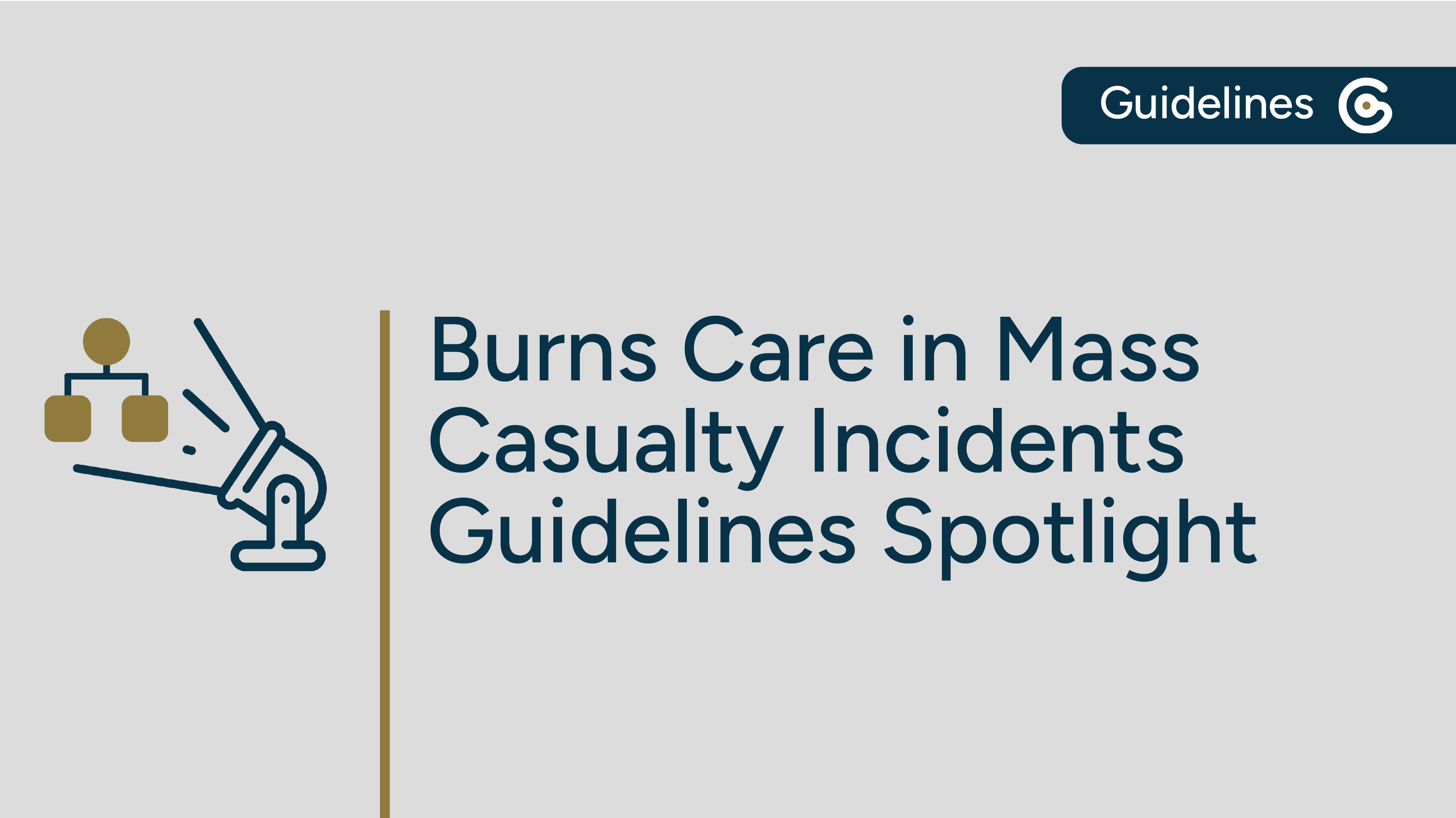 Standards and Recommendations for Burns Care in Mass Casualty Incidents ...
