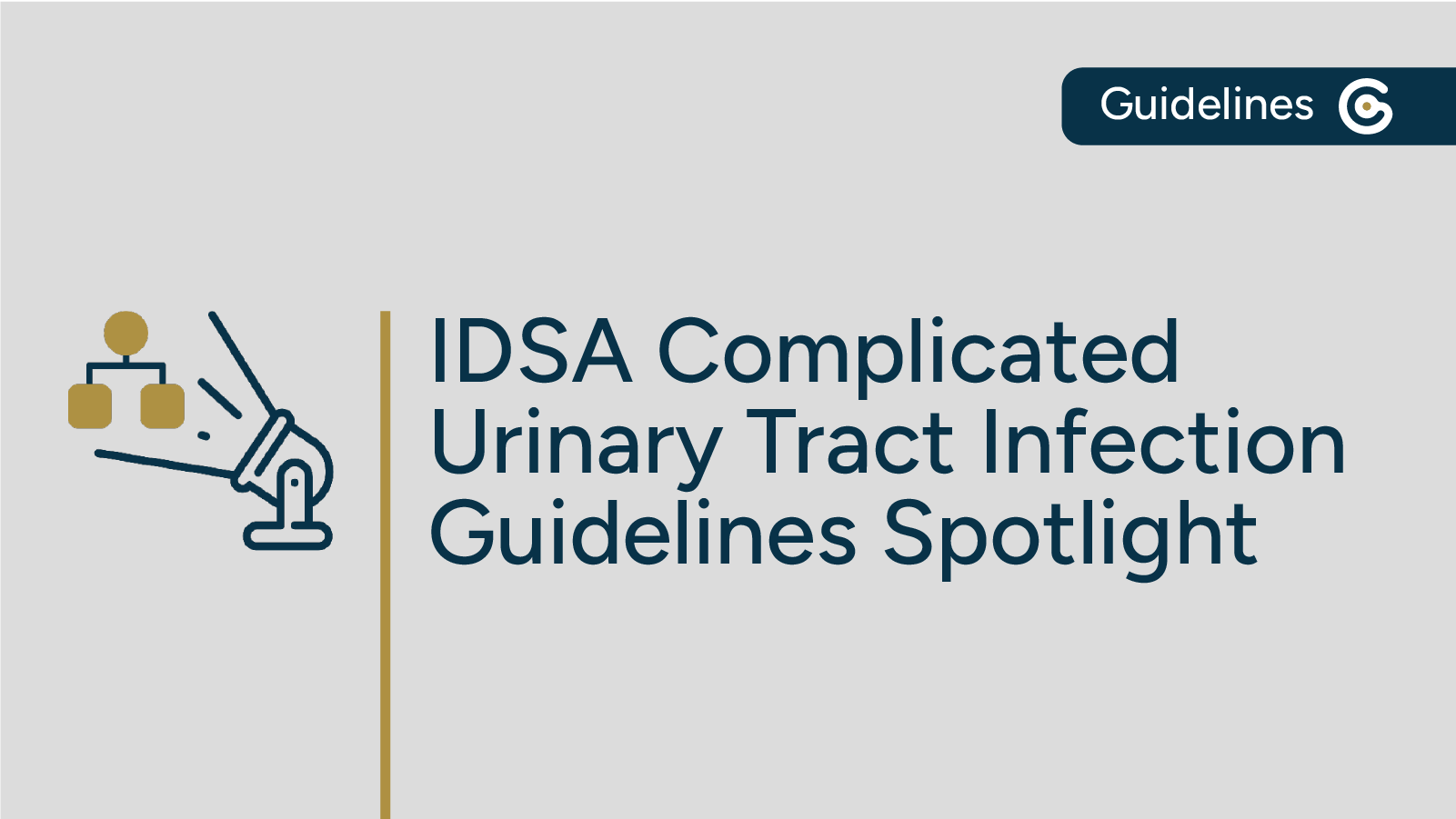 New 2025 IDSA Complicated UTI Guidelines – Key Highlights - Guideline ...