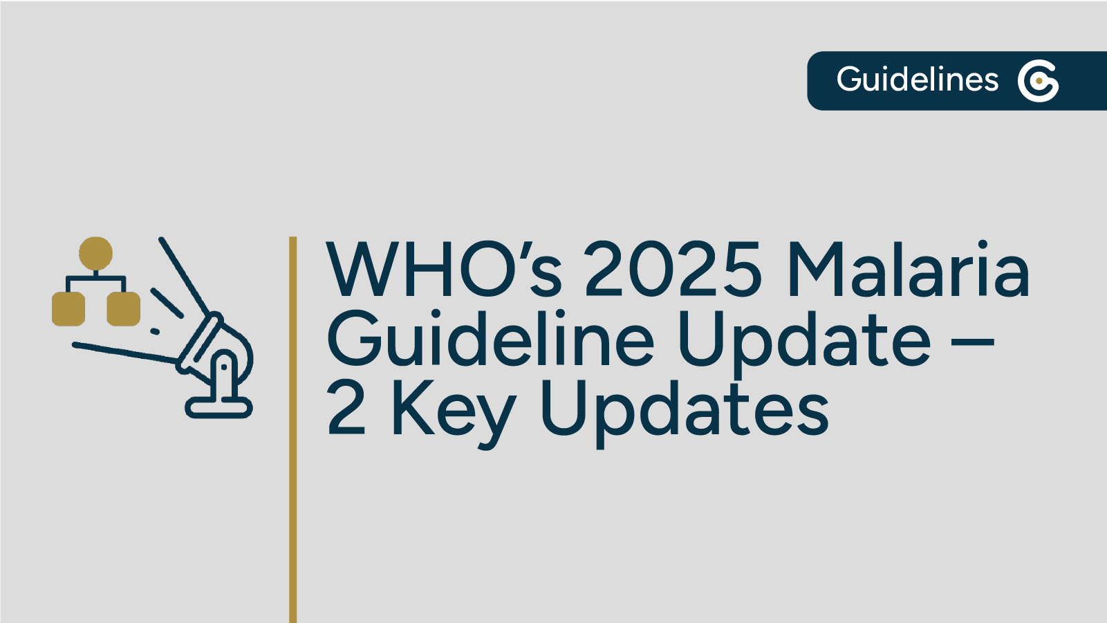 New 2025 WHO Malaria Guideline Updates – 2 Key Guideline Changes ...