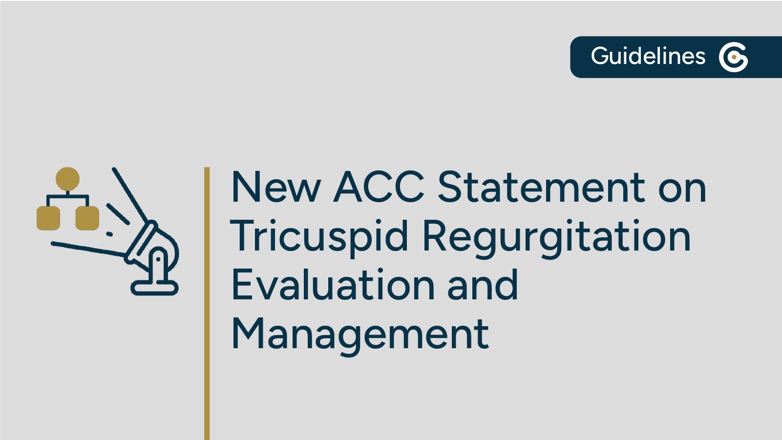 New 2025 ACC Tricuspid Regurgitation Consensus Statement - Guideline ...
