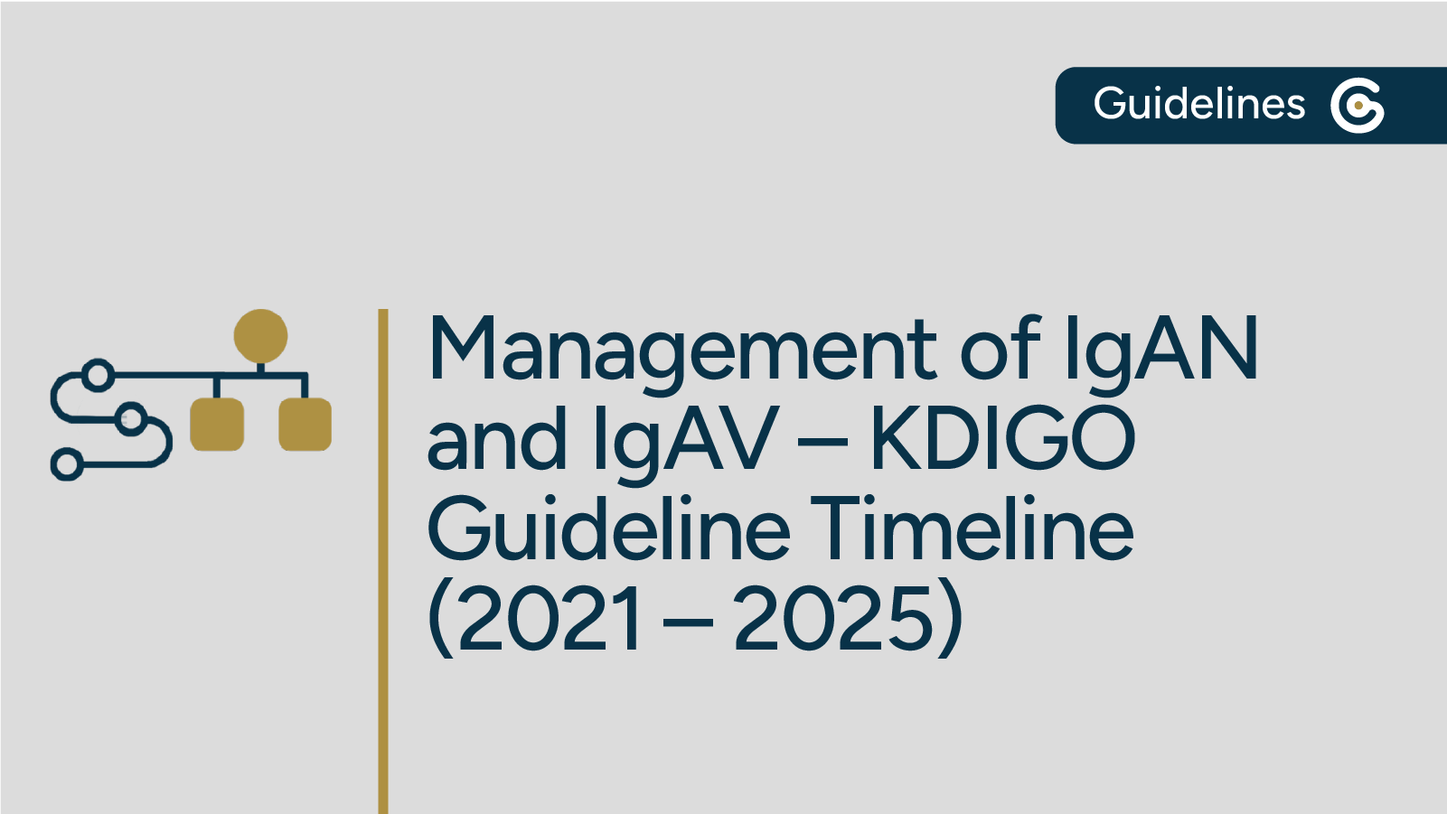 KDIGO Management of IgAN and IgAV Guideline Timeline (2021 – 2025 ...