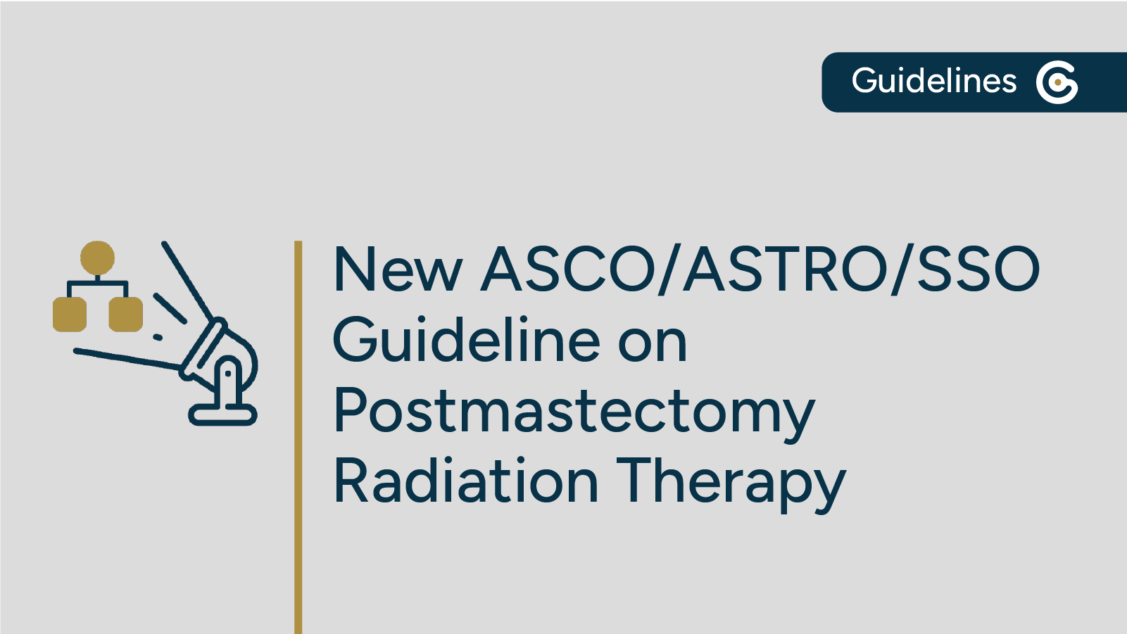 New 2025 ASTRO/ASCO/SSO PMRT Guideline Released - Guideline Central