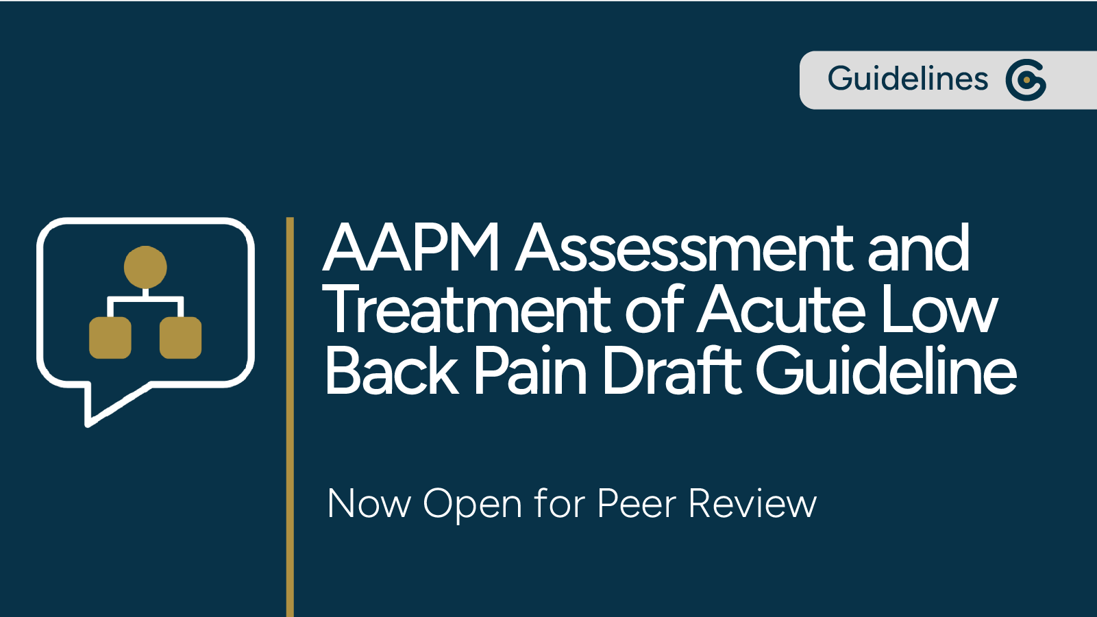 AAPM Draft Guideline Acute Low Back Pain – Open for Comment - Guideline ...