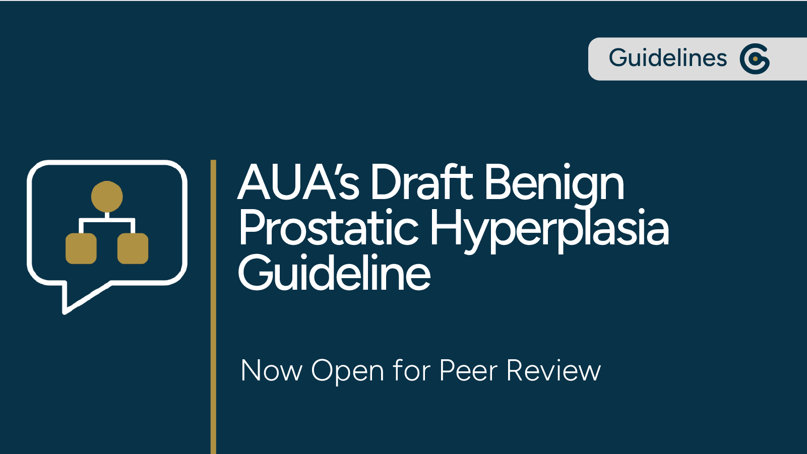 AUA Draft Guideline Benign Prostatic Hyperplasia — Peer Review Open ...